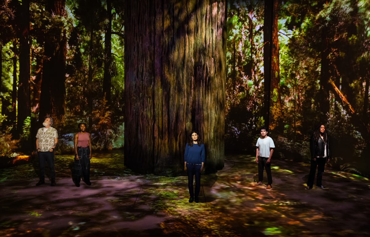 Creating a ‘cutting-edge’ musical with ‘Redwood’