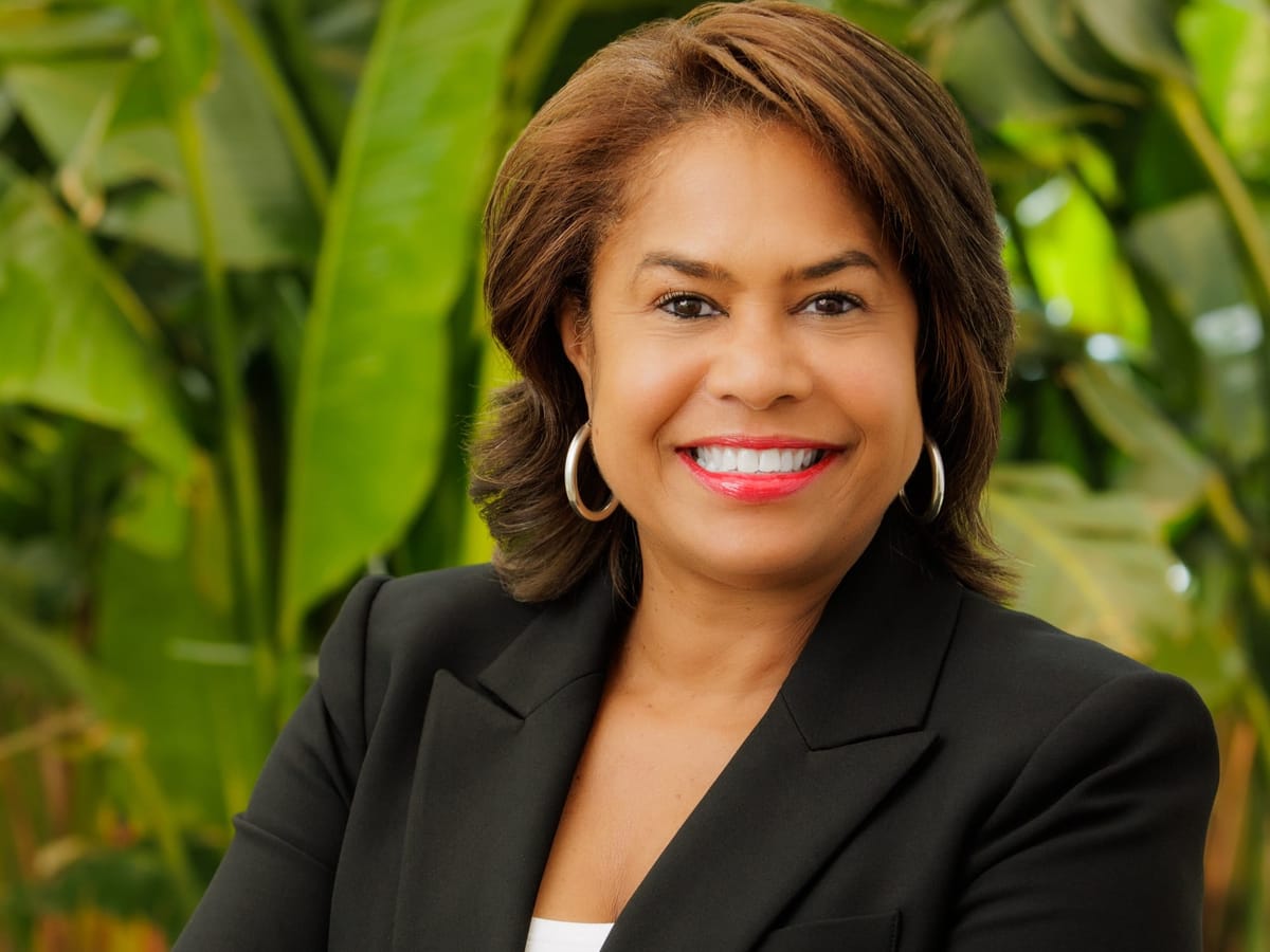 Organization that hosts NYC Broadway Week finds new leadership in Julie ...